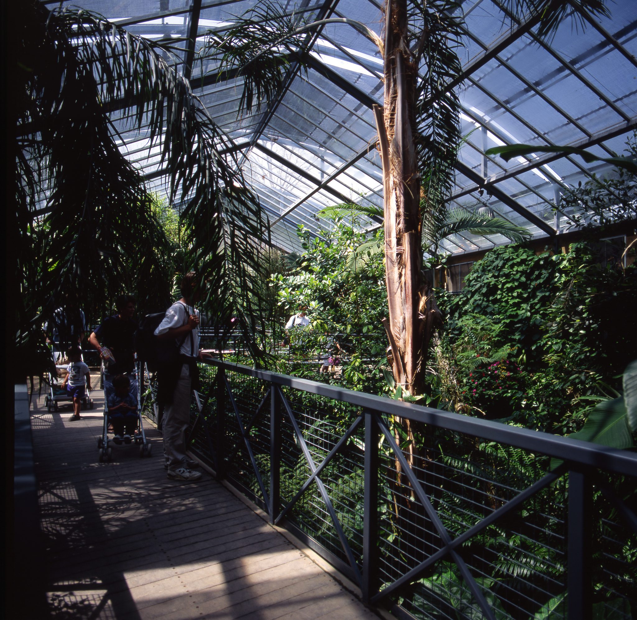 Butterfly Enclosure, Melbourne Zoo - L.U. Simon Builders
