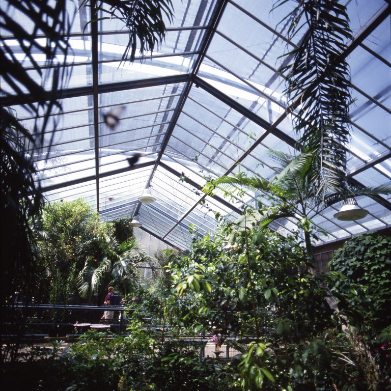 Butterfly Enclosure, Melbourne Zoo - L.U. Simon Builders
